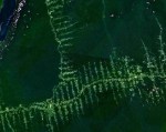 6 ways Brazil is saving the Amazon | Conserve