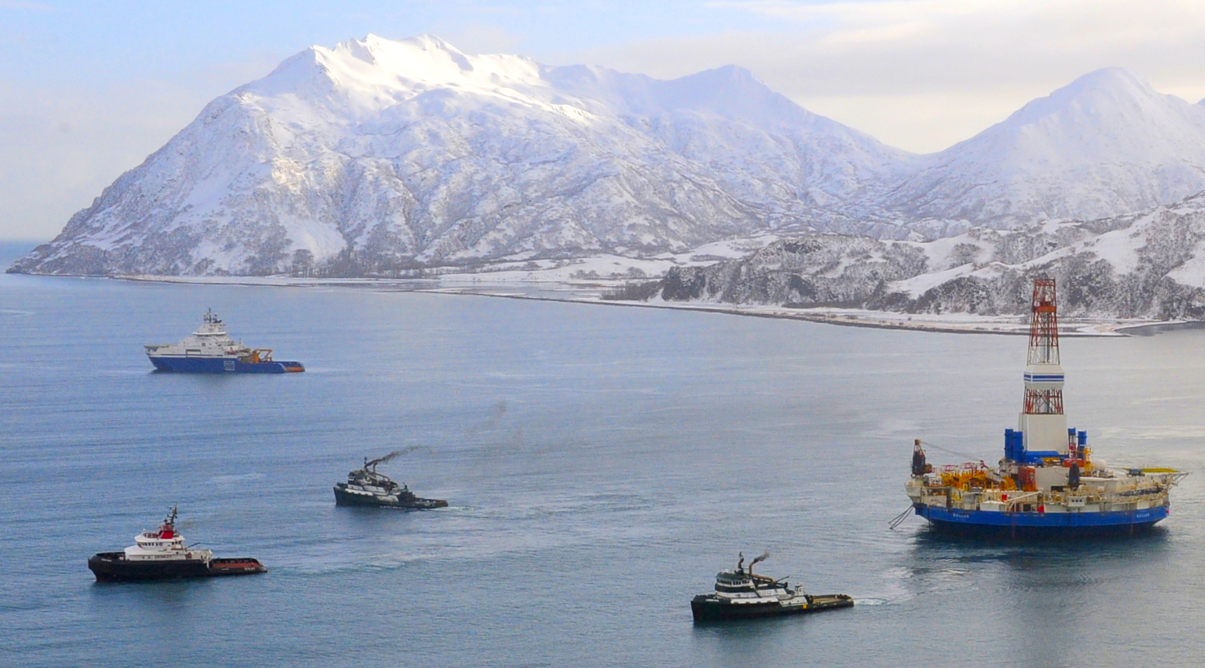 Top 5 environmental success stories of 2015 | Conserve