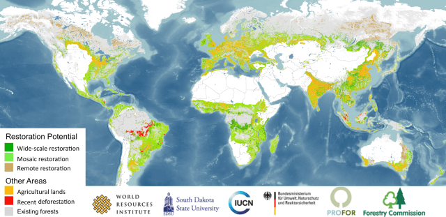 Are some forests better than others at mitigating climate change ...