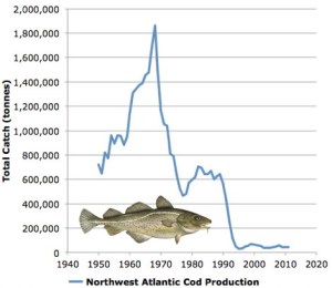How the world can stop overfishing – A case study of U.S. fishery ...