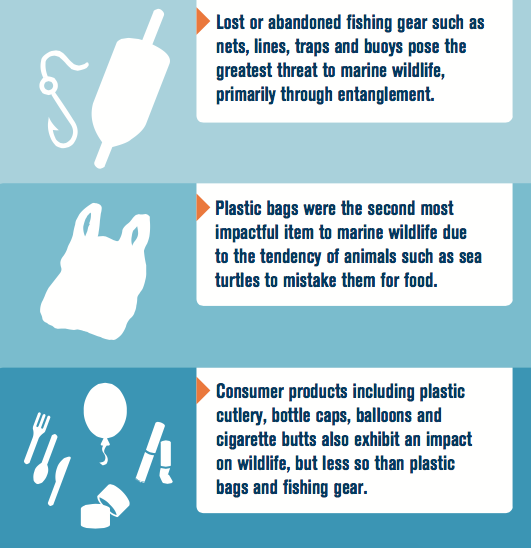 Is marine plastic pollution a solvable problem? | Conserve