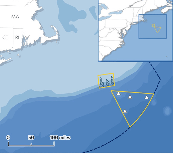 The pros and cons of large and small marine protected areas | Conserve